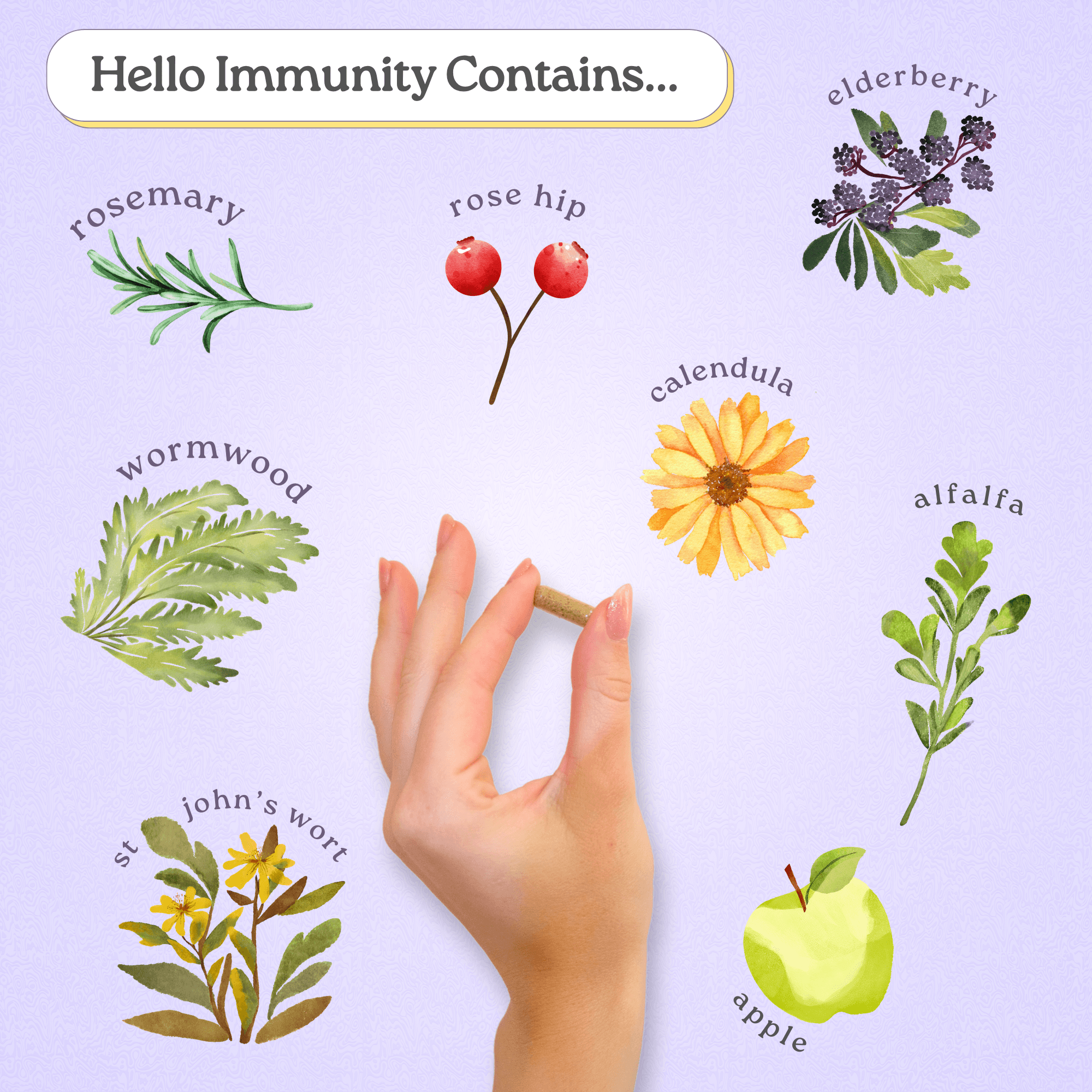 Hello Immunity - Herbal Health & Home